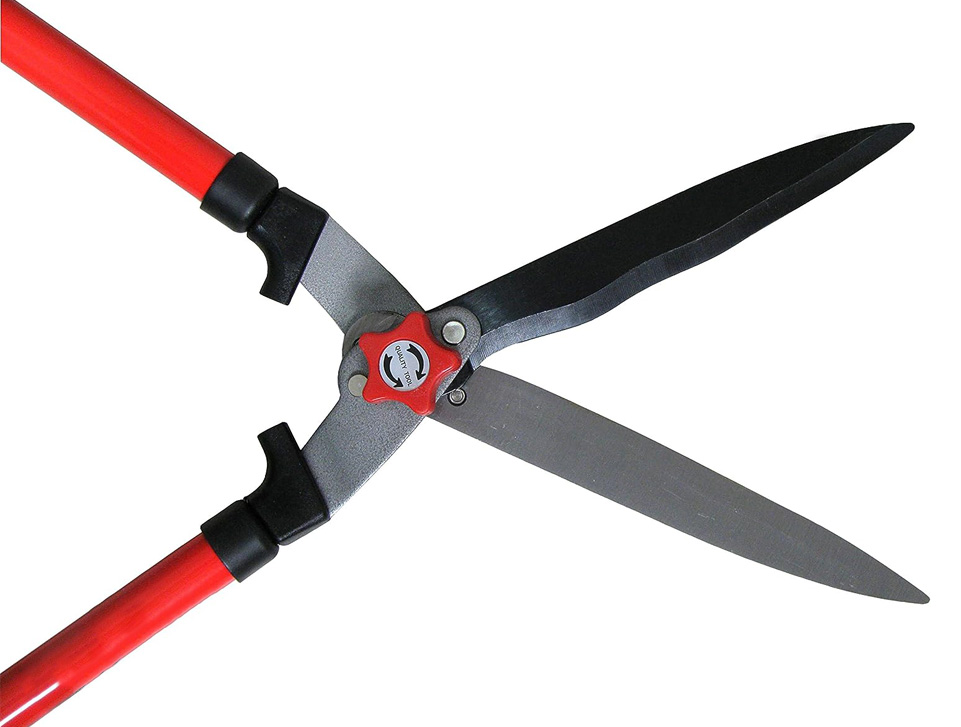 Hedge Shears With Wavy Blades, Border Trimming, Boxwood And Bush ...